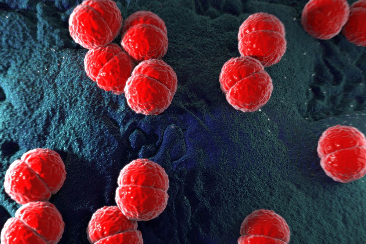 NSW Health warns of increase in life-threatening bacterial infections ...